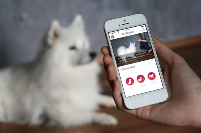 Pet-Remote - Control your dog with your iPhone | Indiegogo