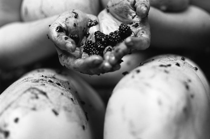 Andrew Kaiser Photography | Indiegogo