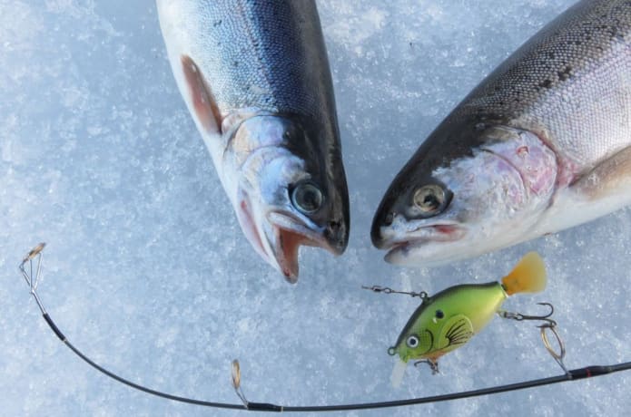 The Worlds 1st Fully Motorized Fishing Lure | Indiegogo