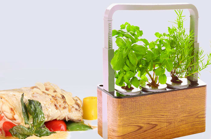 Nature Box: Smart, Simple, Renewable Indoor Garden | Indiegogo