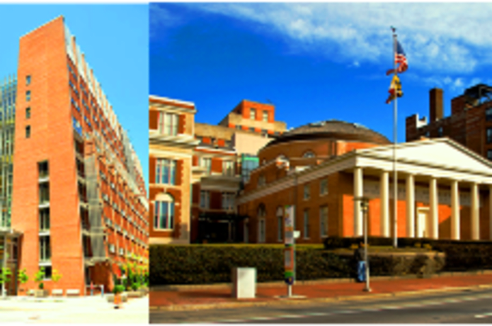 Develop Pregmama's therapy to prevent miscarriage, infertility & birth ...