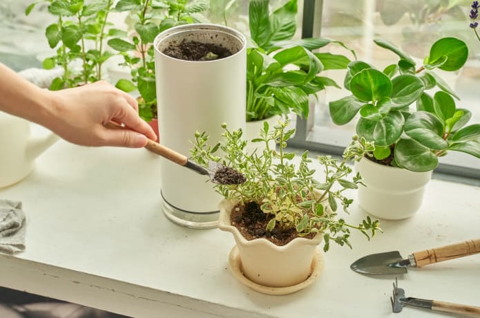 RE Green: Zero Waste Composter Kit | Indiegogo