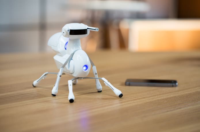 Antbo: An Insect Robot Anyone Can Build | Indiegogo