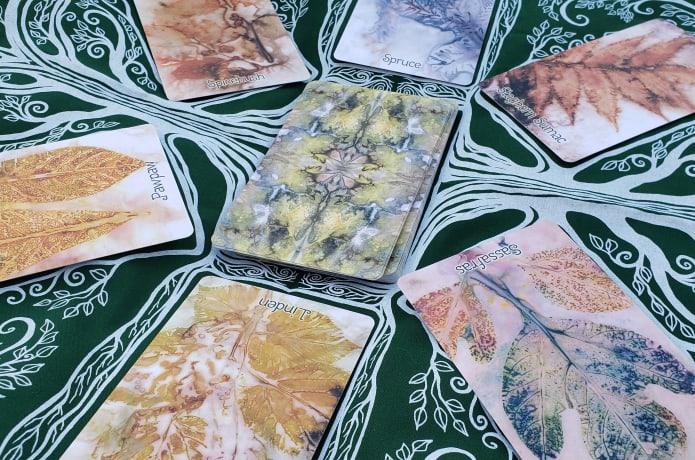 TreeLore Oracle Deck and Book by Dana O'Driscoll | Indiegogo