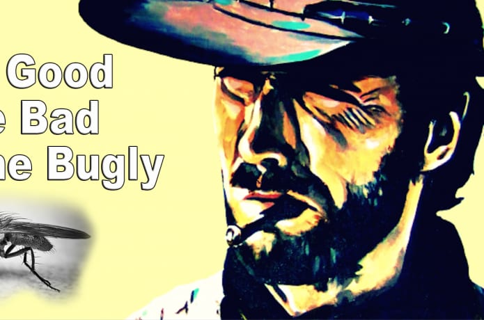 Bug-A-Salt Introduces Camofly 2.0 | Indiegogo