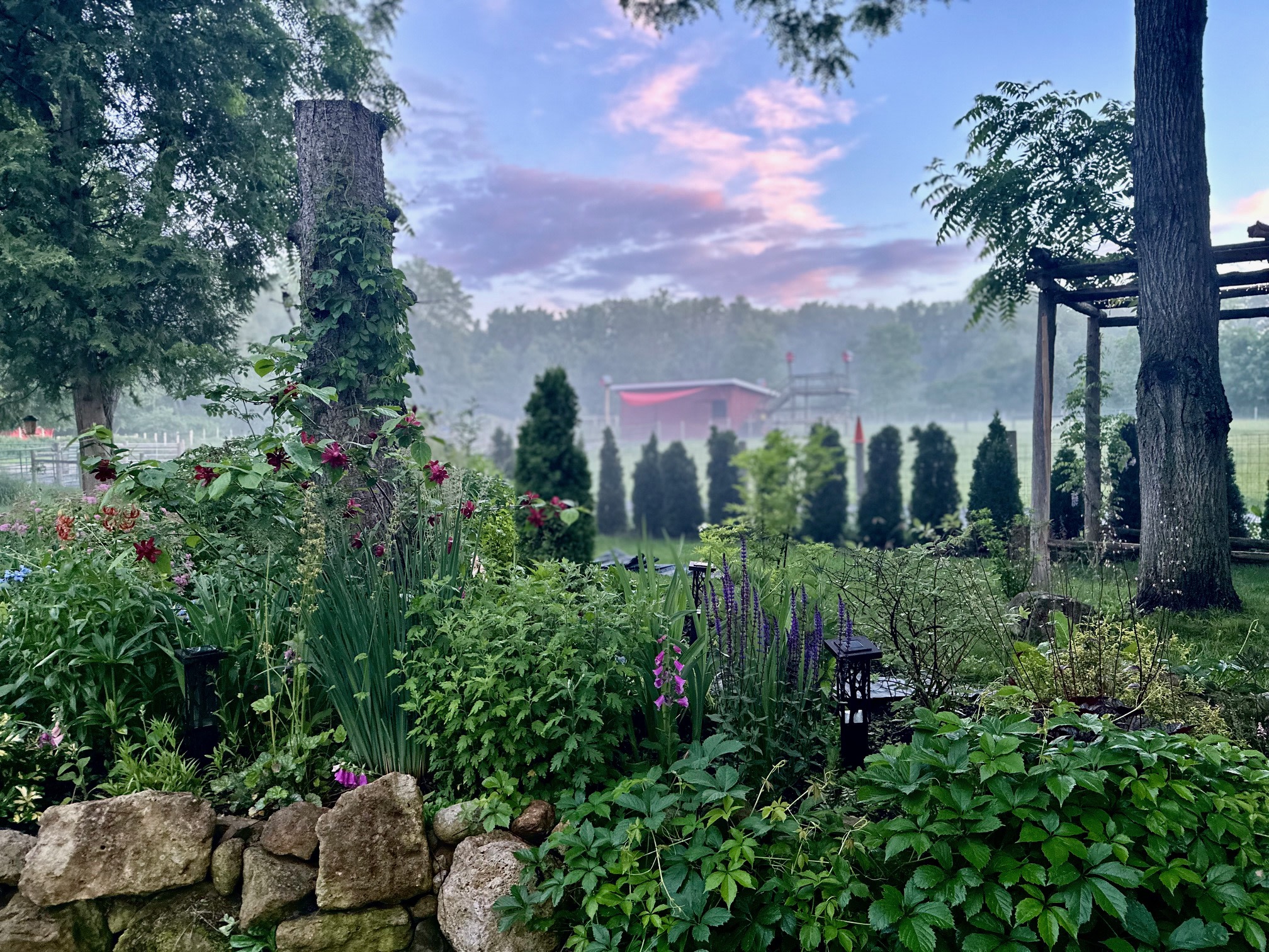 Bombas Kids Socks. Better Socks. Better World. Bee Better. | Indiegogo